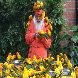 Shuka Vana Ashram holds Guinness World Record for housing the largest ...