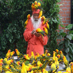 Shuka Vana Ashram holds Guinness World Record for housing the largest ...