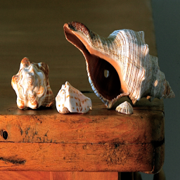 Heritage of Conch Shell Handicraft of West Bengal