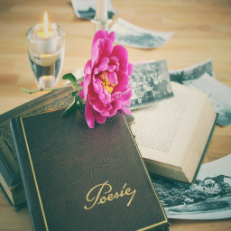 A dive in the world of Poetry