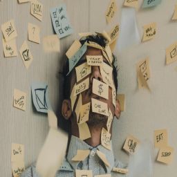 The Crucial Balance: Character Building Over Career Choice in Education