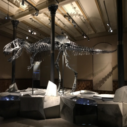 The Real Jurassic Park: Is It Possible to Bring Dinosaurs Back?