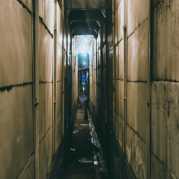 SHADOWS IN THE SIGNAL — THE NCB vs. THE PHANTOM CARTEL